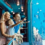 Gold Coast: Jet Boat Ride & Sea World Entry Ticket - Who Will Love This Tour?