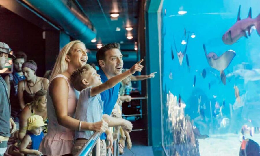 Gold Coast: Jet Boat Ride & Sea World Entry Ticket - Who Will Love This Tour?