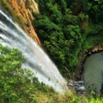 Gold Coast: Kangaroos, Rainforest & Waterfalls Experience - Who Will Love This Tour?