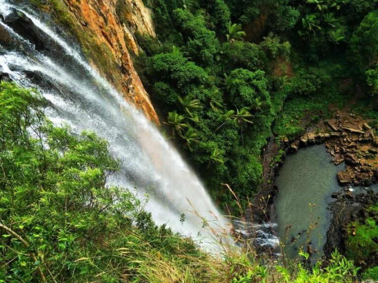 Gold Coast: Kangaroos, Rainforest & Waterfalls Experience - Who Will Love This Tour?