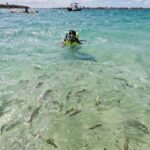 Gold Coast: Kayaking and Snorkeling Guided Tour - A Closer Look at the Experience