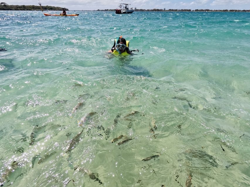 Gold Coast: Kayaking and Snorkeling Guided Tour - A Closer Look at the Experience
