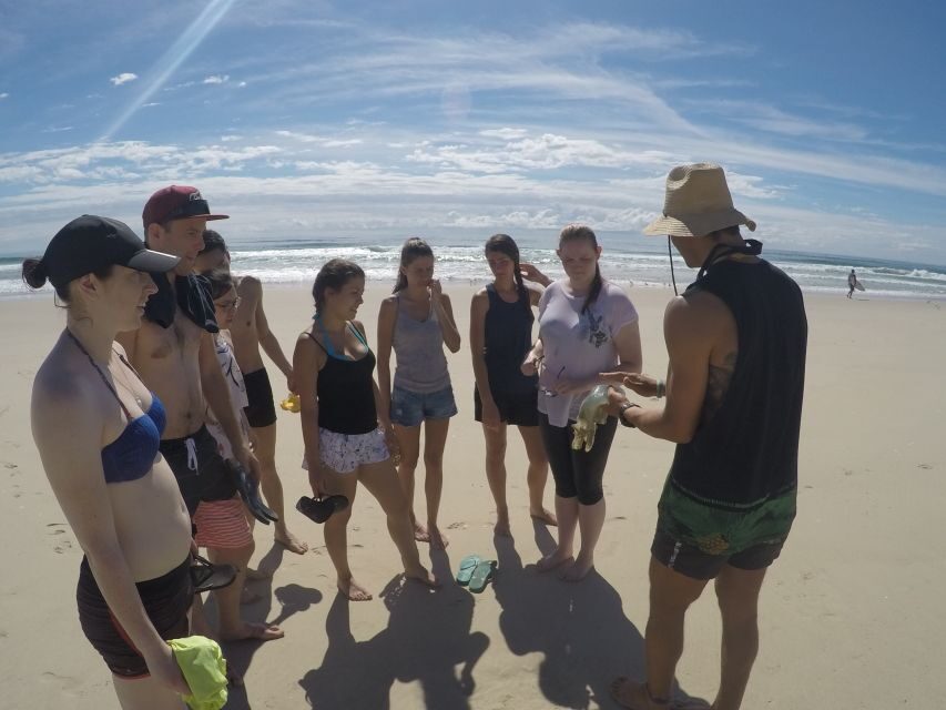 Gold Coast: Kayaking & Snorkelling Tour with Fish Feeding - What’s Not Included and Practical Tips