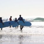 Gold Coast: Learn to Surf Experience with Lunch & Activities - The Cultural and Wildlife Highlights