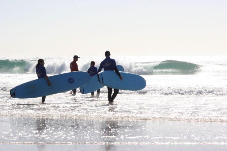 Gold Coast: Learn to Surf Experience with Lunch & Activities - The Cultural and Wildlife Highlights
