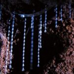 Gold Coast: Natural Bridge Glow Worm Night Tour - The Value of the Tour