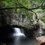 Gold Coast: Natural Bridge & Springbrook Waterfalls Tour - The True Value of This Tour