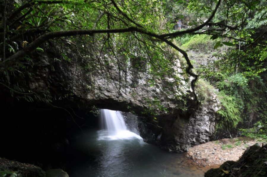 Gold Coast: Natural Bridge & Springbrook Waterfalls Tour - The True Value of This Tour
