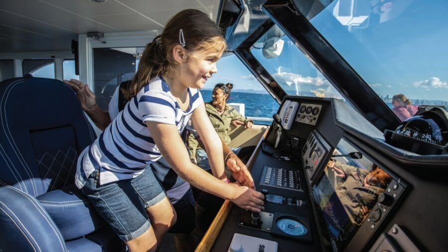 Gold Coast: Premium Whale Watching Cruise - Real Traveler Feedback