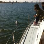 Gold Coast Sailing Cruise with sparkling wine & nibbles platter - The Sum Up: Why This Cruise Is Worth Considering