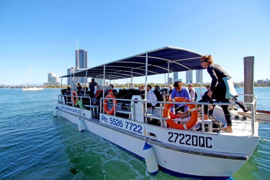 Gold Coast: Snorkelling in Wave Break Island - A Scenic and Relaxing Boat Ride