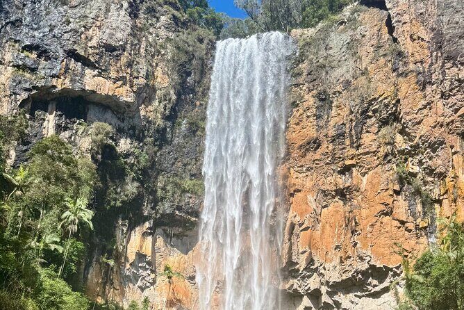 Gold Coast: Springbrook 7 Waterfalls and Natural Bridge Day Tour - Why This Tour Offers Value