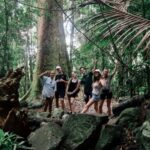 Gold Coast: Springbrook 7 Waterfalls and Natural Bridge Tour - Who Will Enjoy This Tour?