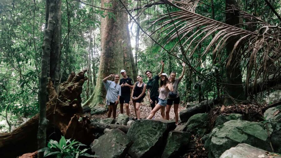 Gold Coast: Springbrook 7 Waterfalls and Natural Bridge Tour - Who Will Enjoy This Tour?
