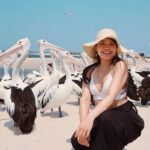 Gold Coast Surfer's Paradise Private Tour from Brisbane - The Practical Side: Transportation, Timing, and Value