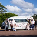 Gold Coast: Tamborine Mountain Wine Tour with 2-Course Lunch - Wine Tastings: A Taste of Tamborine’s Finest
