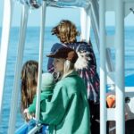 Gold Coast Whale Experience - Recognized Value and Guest Feedback
