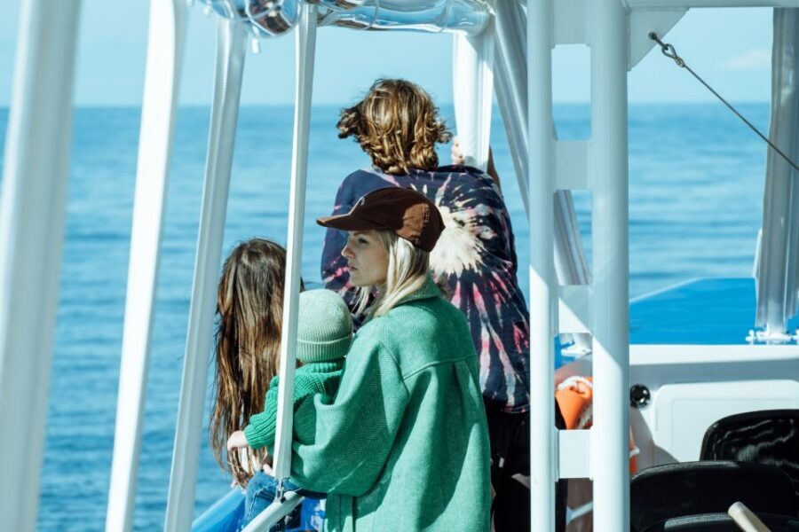 Gold Coast Whale Experience - Recognized Value and Guest Feedback