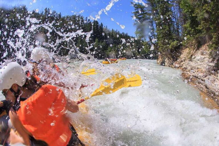 Golden, BC: Kicking Horse River Whitewater Raft Experience - Who Is This Tour Best For?