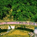 Golden Bridge Ba Na Hills with Buffets Lunch 2 ways cable car - Practical Tips for Your Day