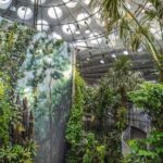 Golden Gate Park Tour With California Academy of Sciences - Who Will Love This Tour?