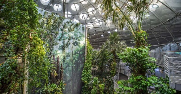 Golden Gate Park Tour With California Academy of Sciences - Who Will Love This Tour?