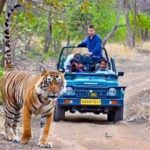 Golden Triangle & Tigers (Delhi-Agra-Jaipur-Ranthambore National Park) - An In-Depth Look at the Tour Experience