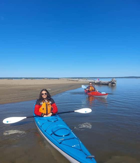 Goulais River: Maple Island Traders Guided Kayak Tour - Who Will Enjoy This Tour?