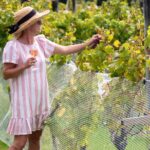 Gourmet Mystery Picnic Experience in Matakana - In The Sum Up