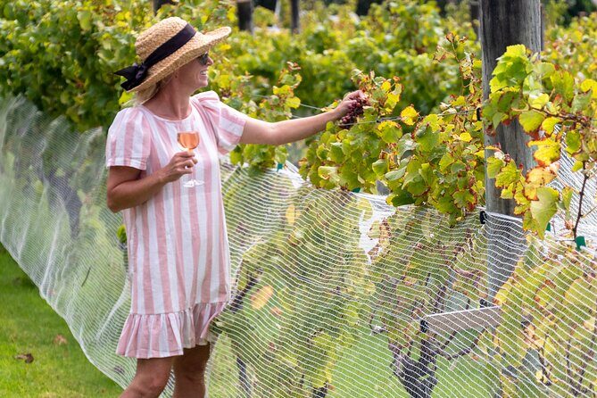 Gourmet Mystery Picnic Experience in Matakana - In The Sum Up