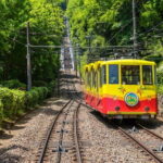 Gourmet Tour in Mountain Takao, Tokyo - An In-Depth Look at the Tour Experience