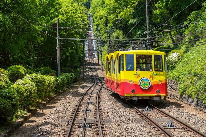 Gourmet Tour in Mountain Takao, Tokyo - An In-Depth Look at the Tour Experience