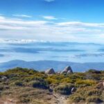 Grand Hobart & Richmond Full-Day Tour - Transportation and Group Dynamics