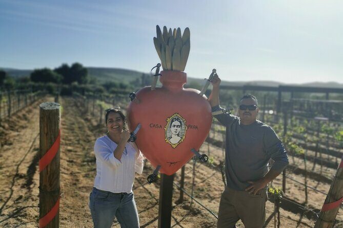 Grand Mexico Wine Country Tour from San Diego - Valle de Guadalupe - The Heart of the Tour
