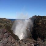 Grand Pacific Drive and Southern Highlands Tour - The Itinerary in Detail