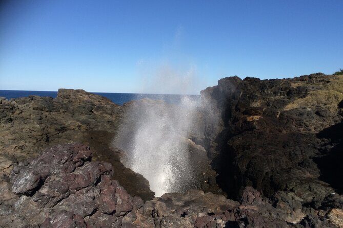 Grand Pacific Drive and Southern Highlands Tour - The Itinerary in Detail