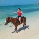 Grand Turk: Horseback riding Experience/Cockburn Town - A Genuine Look at the Tour Experience
