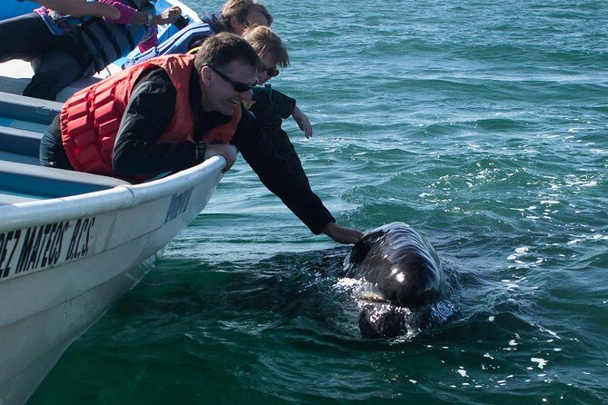 Gray Whale-Watching 2-Day Experience in Magdalena Bay - What You’ll Take Away from This Tour