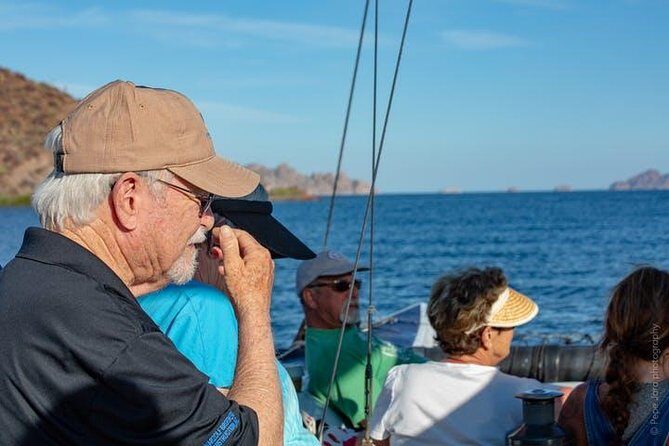 Gray Whale Watching Tour at Lopez Mateos - Authentic Encounters and Genuine Insights