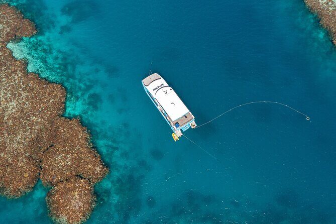 Great Barrier Reef and MOUA Snorkeling Day Tour from Townsville - What to Expect on Your Day with SeaLink