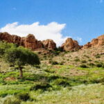 Great Gobi to Khuvsgul Lake 16 Days Tour - Practical Details and What You Get