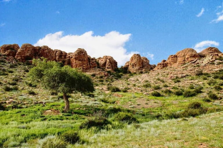 Great Gobi to Khuvsgul Lake 16 Days Tour - Practical Details and What You Get