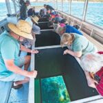 Great Keppel Island Adventure Tour - Snorkel and Boomnet - The Itinerary: What to Expect