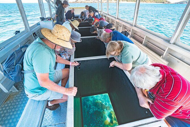 Great Keppel Island Adventure Tour - Snorkel and Boomnet - The Itinerary: What to Expect