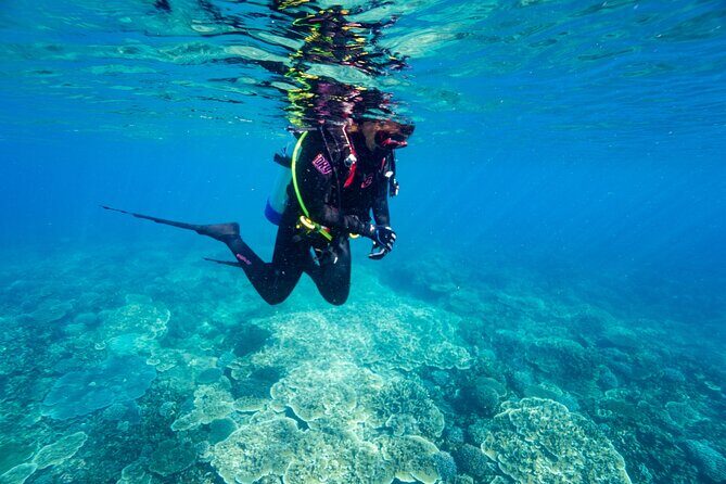 Great Keppel Island Day Trip Bundle from Yeppoon - Authentic Experiences and Traveler Feedback