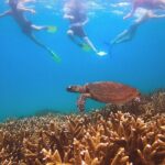 Great Keppel Island Day Trip with Lunch - Final Thoughts