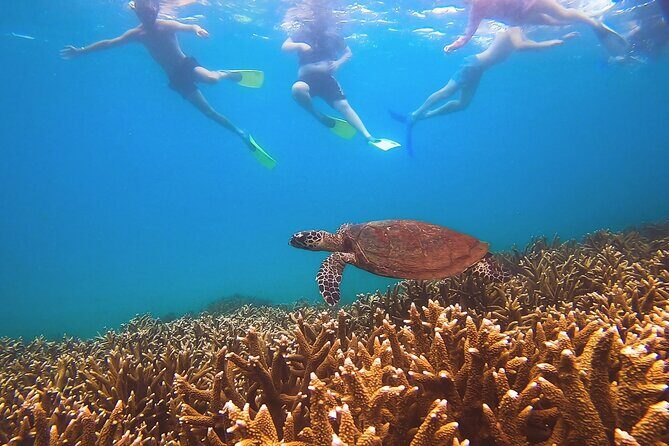 Great Keppel Island Day Trip with Lunch - Final Thoughts