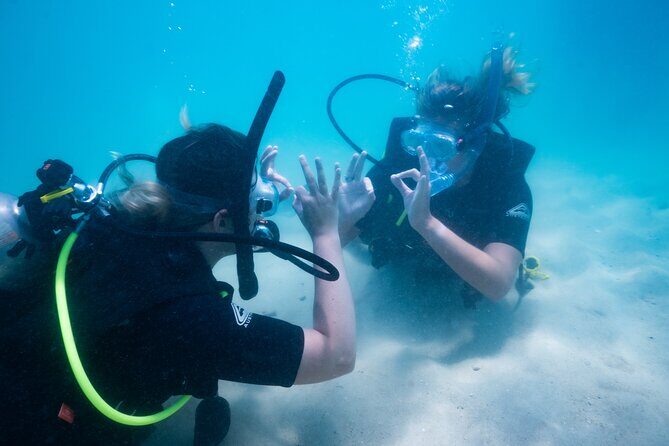 Great Keppel Island PADI Discover Scuba Dive with Keppel Dive - The Value of the Experience