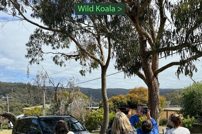 Great Ocean Road 1 Day Luxury Private Tour - The Value of a Private, Custom Experience