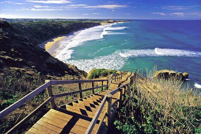 Great Ocean Road 12 apostles PRIVATE Luxury Tour Reverse all incl - Who Is This Tour Best For?